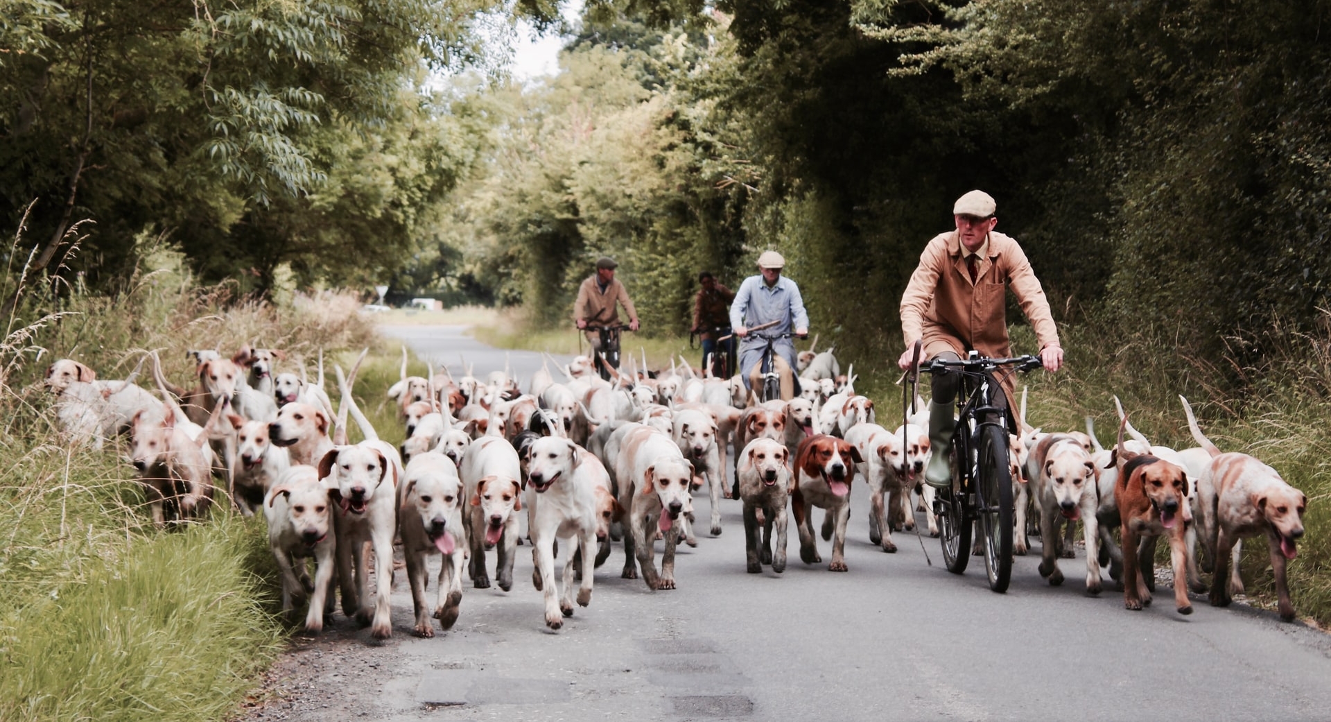 How to use async await in loops | JavaScript Full Stack